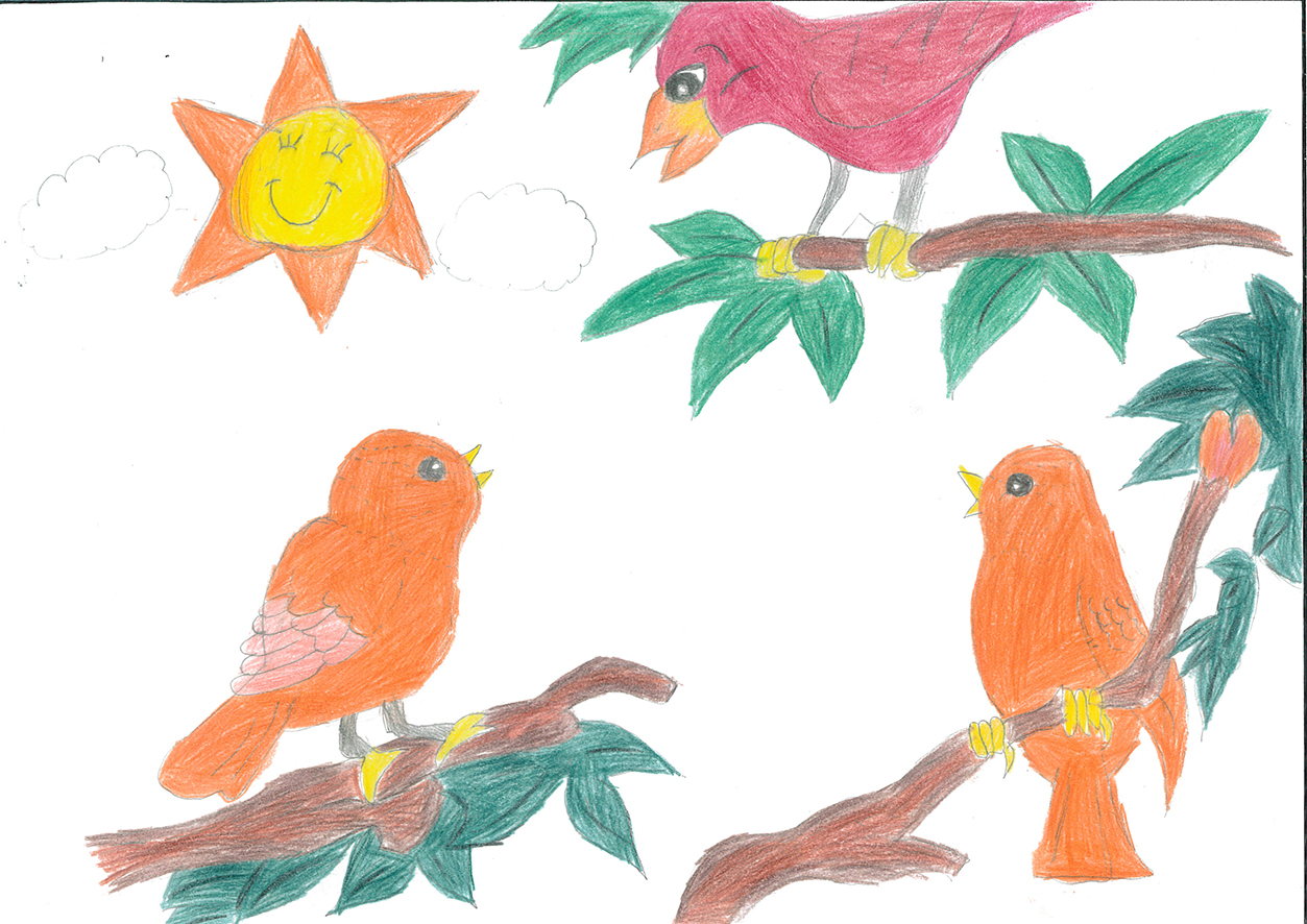 Résultats au concours : dessine-moi le Printemps - Ville de Serris