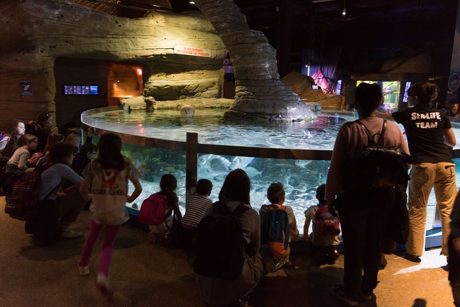 Sea Life Paris-Val d'Europe ® - Ville de Serris